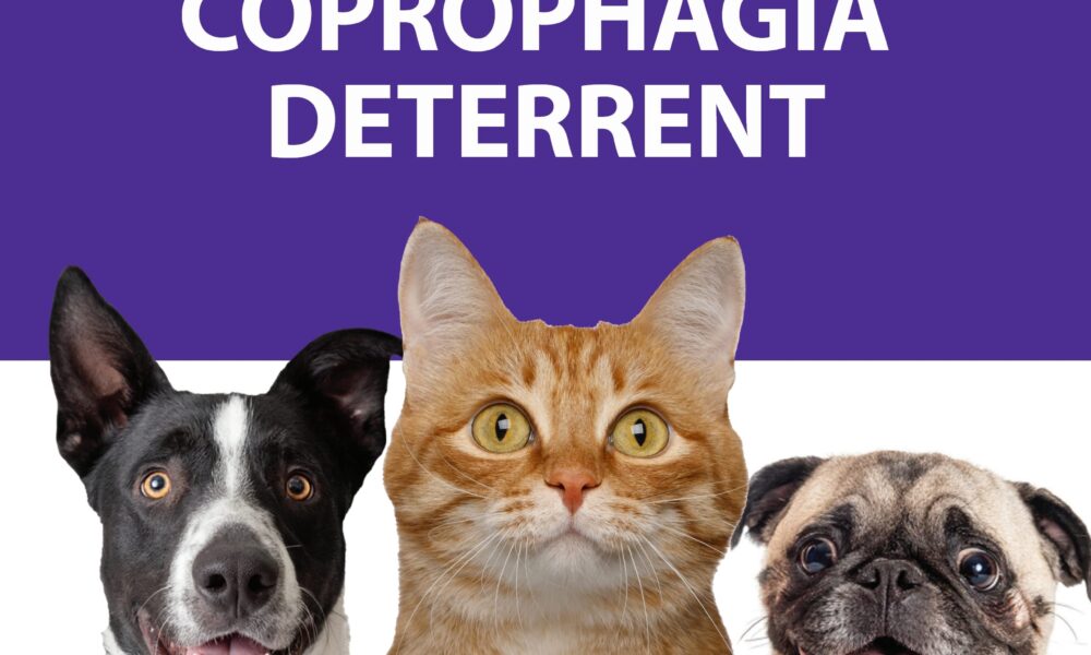 Coprofagia en humanos: ¿cuáles son las causas que llevan a esta ...