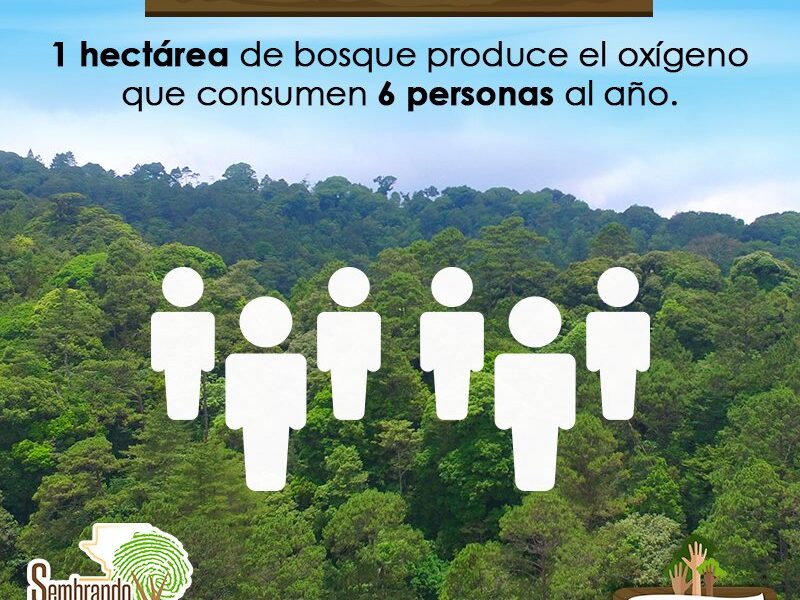 Explorando la parafilia: Descubre qué es y qué impacto puede tener en ...